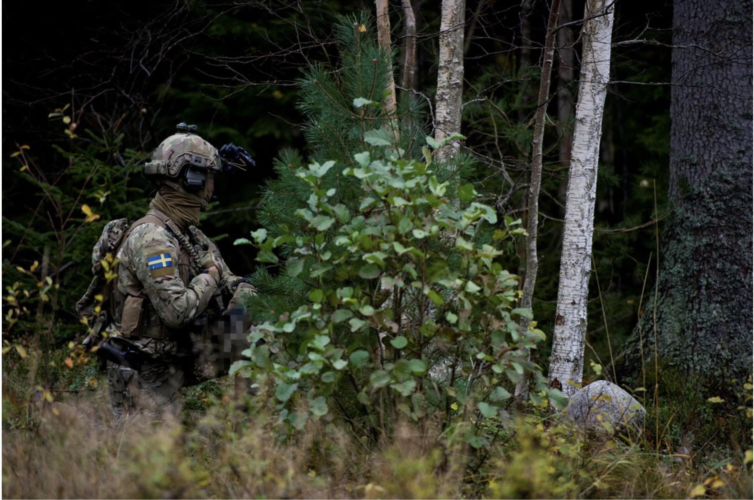 Russia's Threat to Sweden in the Next 24 Months - Grey Dynamics