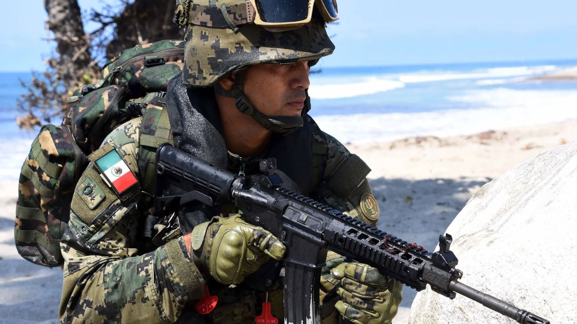 Cuerpo de Infantería de Marina: The Mexican Marines