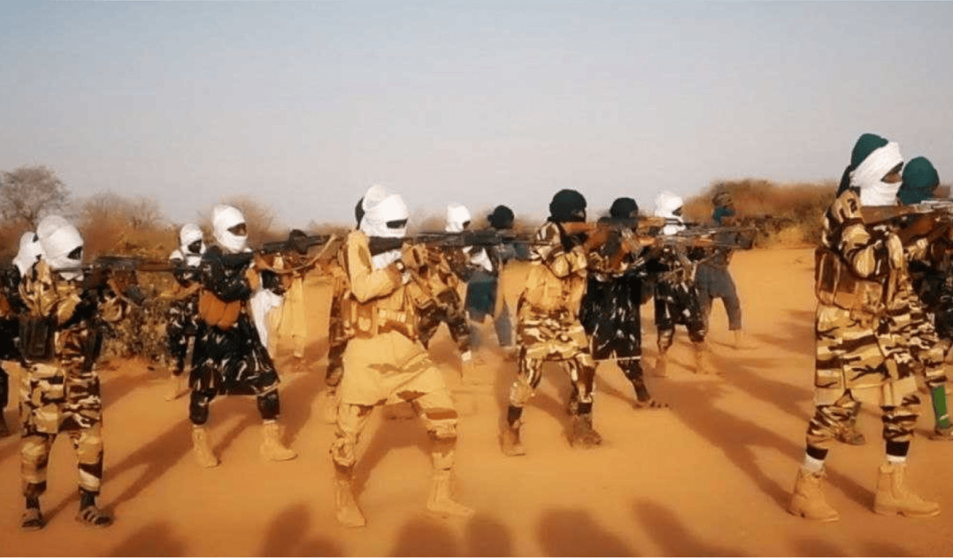 JNIM: Togo and the Russian Factor