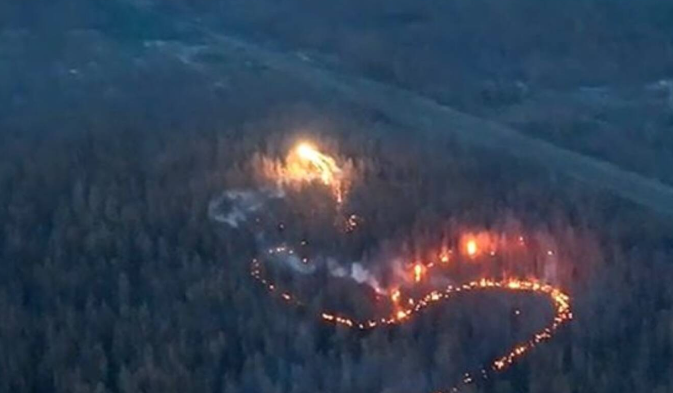Fire from Above: The Impact of Ukraine's Dragon Drones